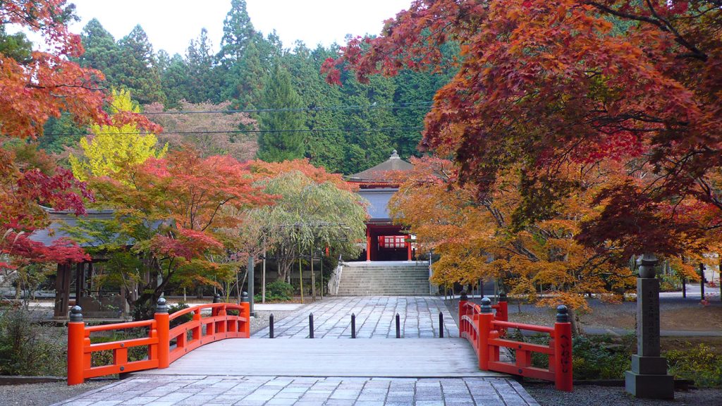 Travel Insider: Japan - Monsoon Blog